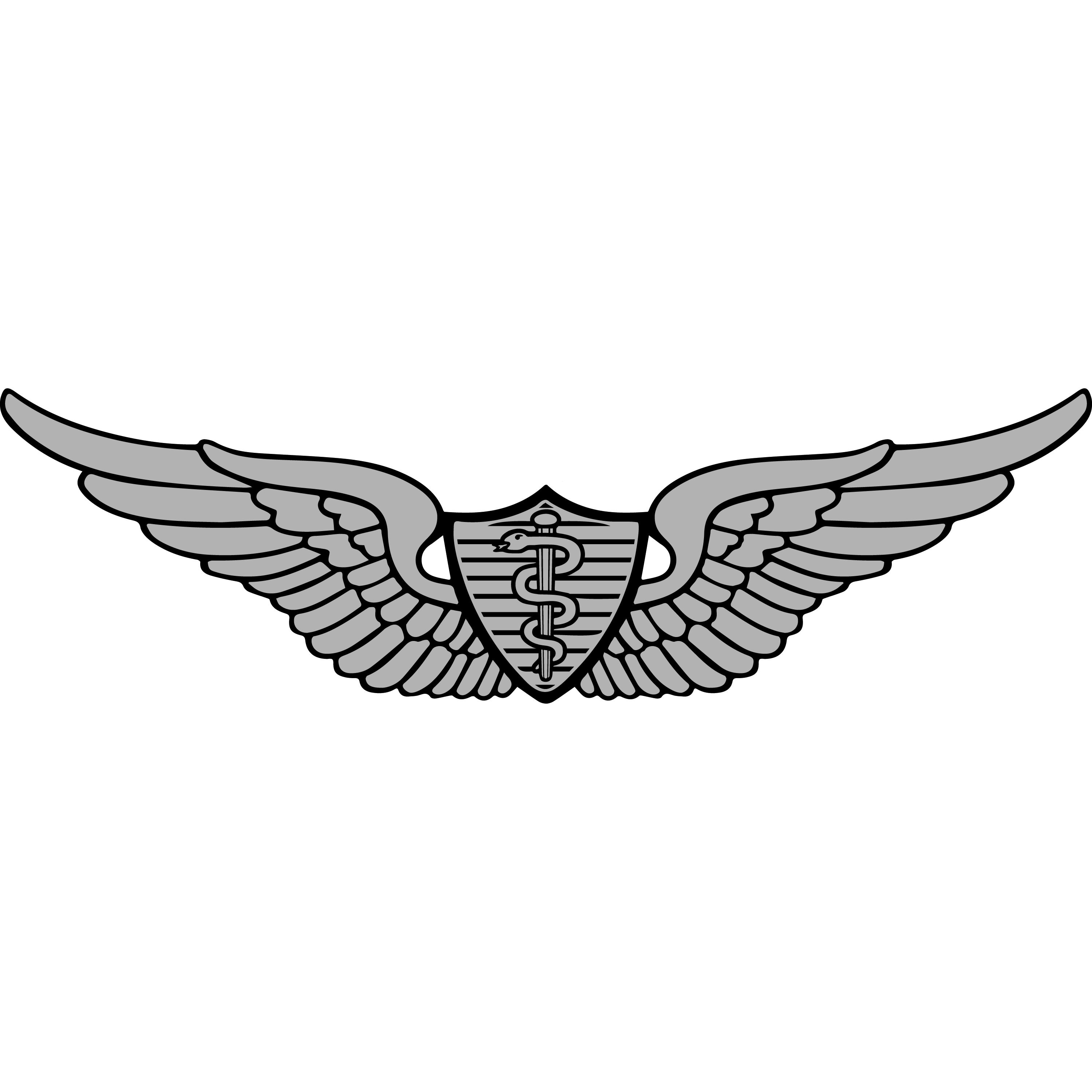 Army Flight Surgeon Badge – Brotallion LLC