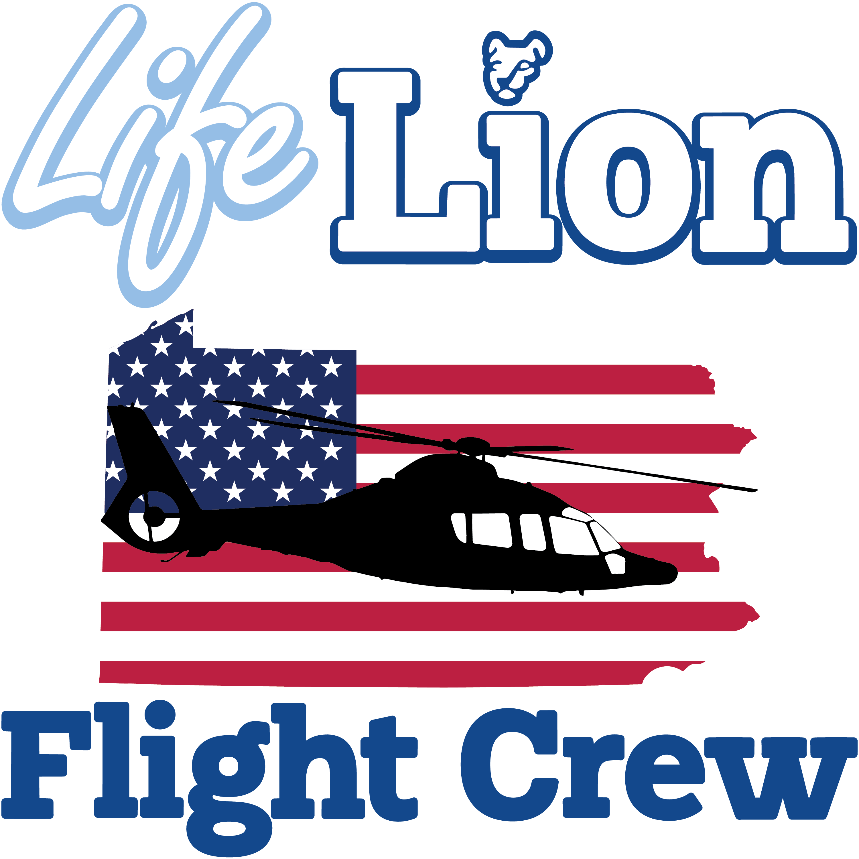 Life Lion Critical Care Transport – Brotallion LLC
