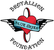 Rated #1 Military Aviation Apparel Online Shop | Brotallion ...